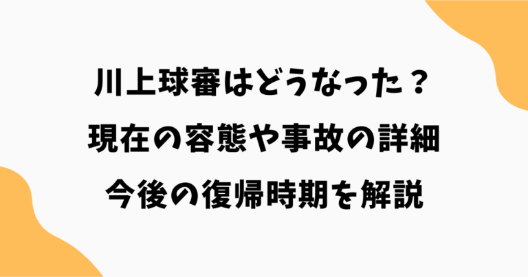 川上球審の現在の容態は？その後は大丈夫？意識や最新情報を整理【2026】 | よつばのブログ
